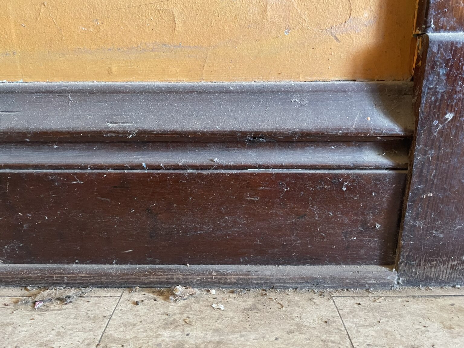 Coved Pine 2 Piece Baseboard - ND MillWerk Salvage and Sales